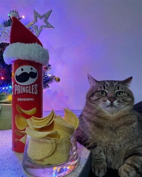 Sonicks Sonic X Sticks Crack Ship Art Rsonicthehedgehog