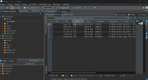 wpf dbeaver 이용한 취업in 프로젝트 검색 및 출력 — wkdrn1224 님의 블로그
