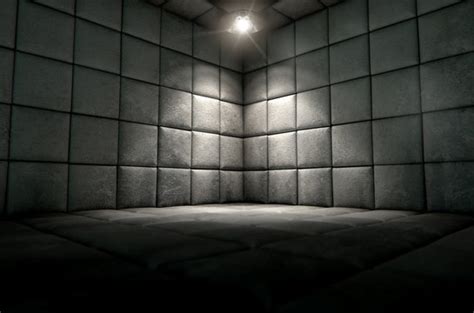 Padded Cell Images Browse Stock Photos Vectors And Video Adobe Stock