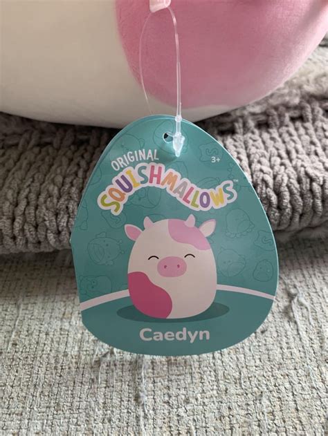 8” Caedyn Squishmallow Rsquishmallow