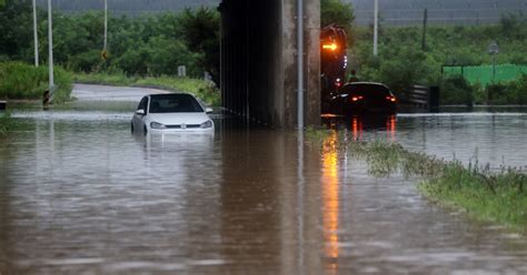 파주 문산 시간당 100㎜ 물폭탄 침수된 차량