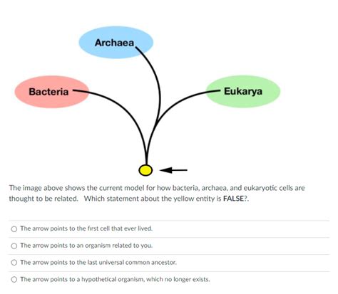 Solved Archaea Bacteria Eukarya The Image Above Shows The