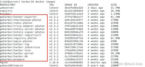 如何创建一个私有的docker仓库 docker搭建个人仓库 csdn博客