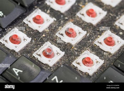 Side View Of Dismantled Dirty Keyboard Closeup Stock Photo Alamy
