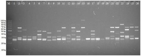 Mammalian Sex Hormones As Steroid Structured Compounds In Wheat