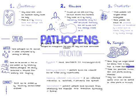 Gcse Biology Revision Notes Topic 3 Infection And Response Etsy