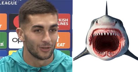 Ferran Torres explains why he's called 'The Shark' - Football | Tribuna.com