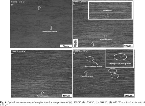 Shows The Pattern Quality Map And Inverse Pole Figures IPF Map Of Download Scientific Diagram