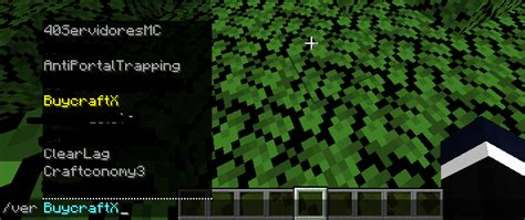 Tab Complete Ver SpigotMC High Performance Minecraft