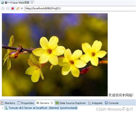 Java Web项目的创建webcontent怎么创建 Csdn博客