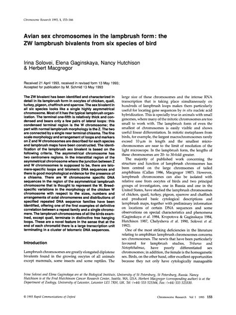 Pdf Avian Sex Chromosomes In The Lampbrush Form The Zw Lampbrush