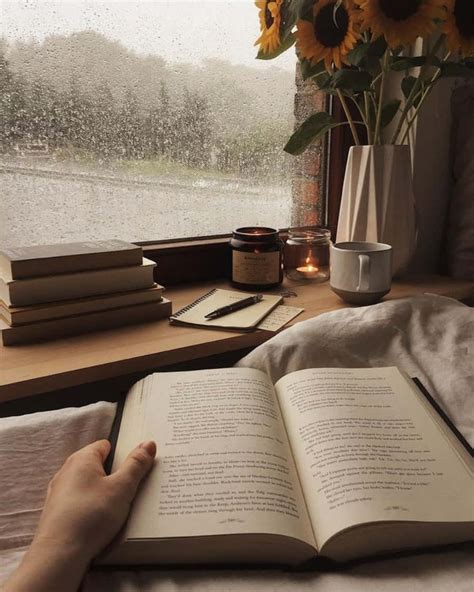 100 Aesthetic Book Pictures