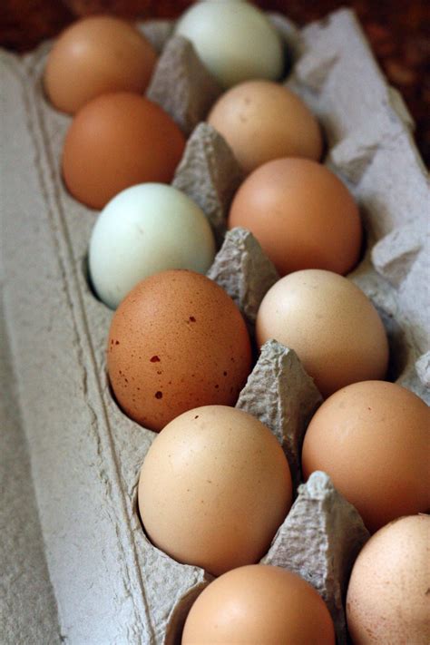 Nigel Slater Cakesnail