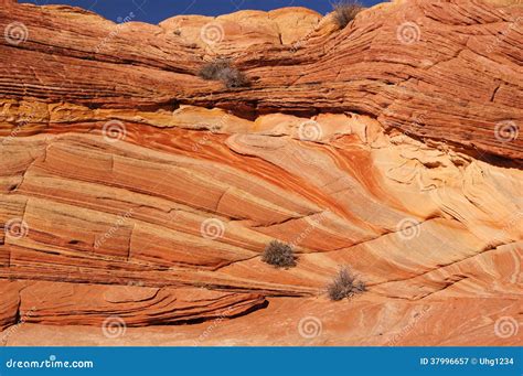 Paria Canyon Vermilion Cliffs Wilderness Arizona Usa Stock Image
