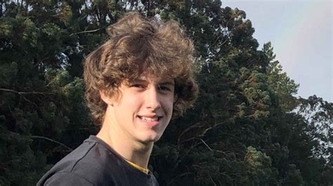 Apprentice Builder Killed By Falling Framing Worksafe Investigation Daily Telegraph Nz