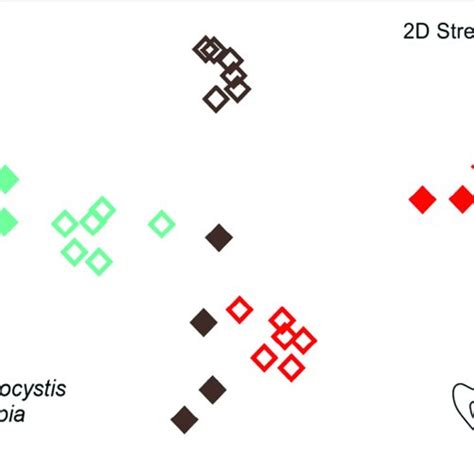Non Metric Multidimensional Scaling Nmds Plot Of Euclidean