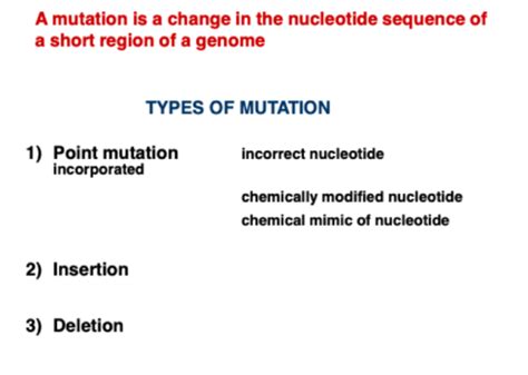 Molecular Genetics Flashcards Quizlet