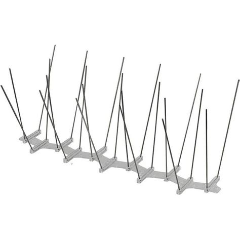 Ss Bird Spikes At ₹ 70piece Bird Control Spikes In Rajkot Id