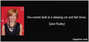 Cant Sleep Without You Quotes Quotesgram