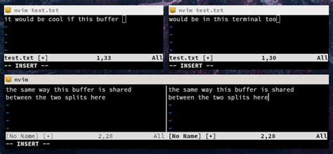 Is There A Way To Use Multiple Terminals With The Same Buffers Rneovim