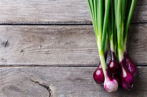 나무 배경에 신선한 녹색 콩나물과 양파 맨 위 보기 공간을 복사합니다 0명에 대한 스톡 사진 및 기타 이미지 0명 개체 그룹 건강한 생활방식 Istock
