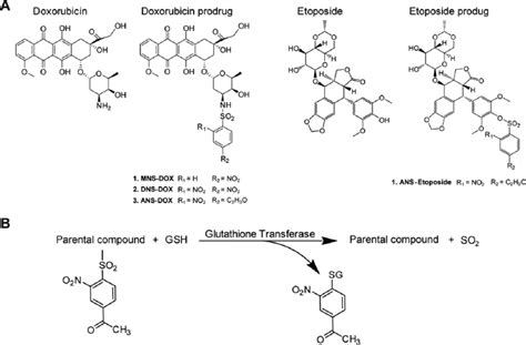Chemical Structures And Conversion Of Prodrugs A Chemical Structures