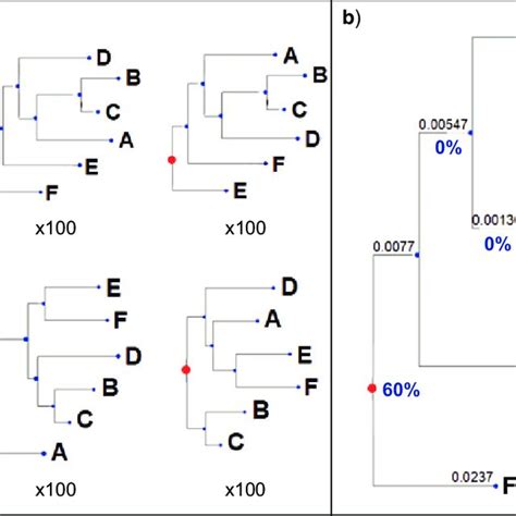 Illustration Of The Rootstrap Concept A The Bootstrap Replicates Download Scientific Diagram