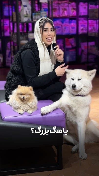 سگ بزرگ یا سگ کوچیک؟🔥shorts Youtube