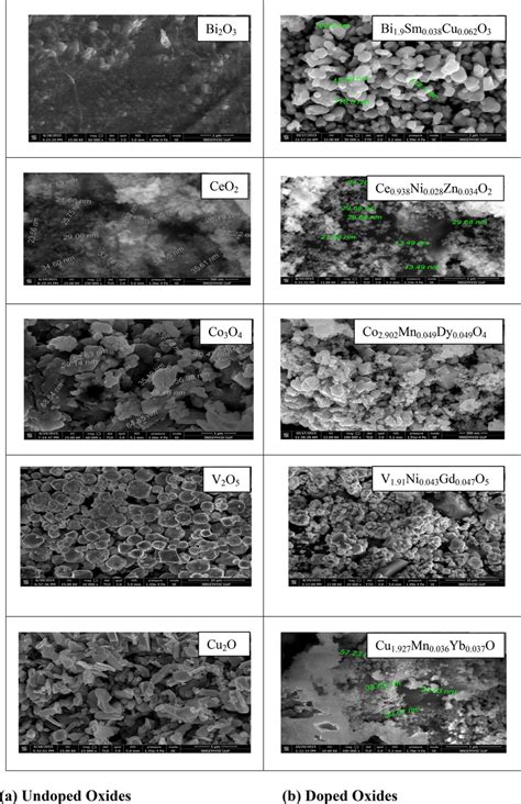 Scanning Electron Micrographs Sem Of A Undoped And B Doped