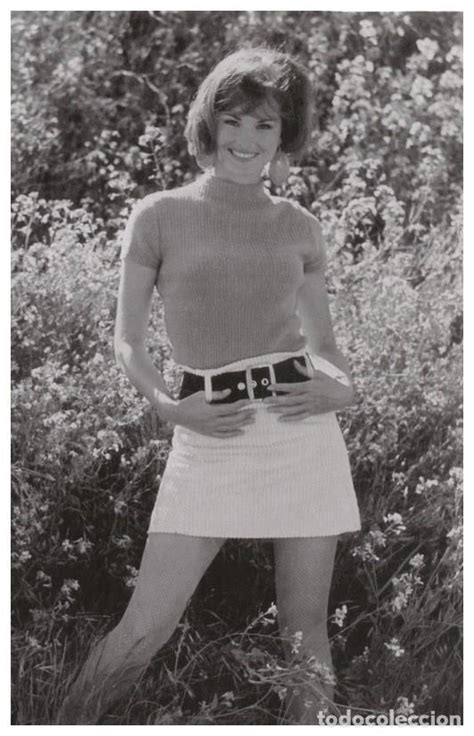 Lori Saunders New
