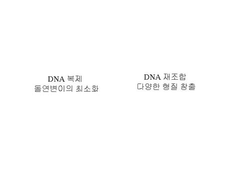 Lecture 3 Dna Replication And Repair Dna Replication