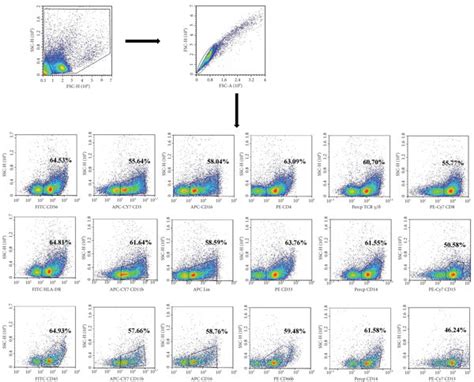 Immune Cell Subsets Accumulate In Bile From Patient With Download