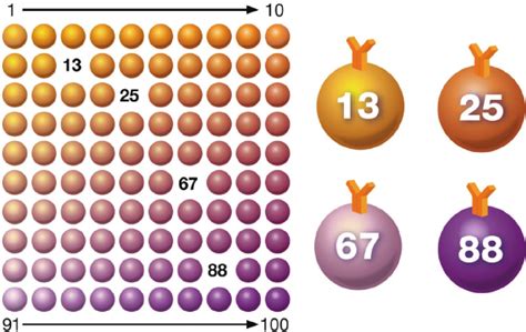 Multiplex Immunoassay Technology Beads Are Colored Internally With Two