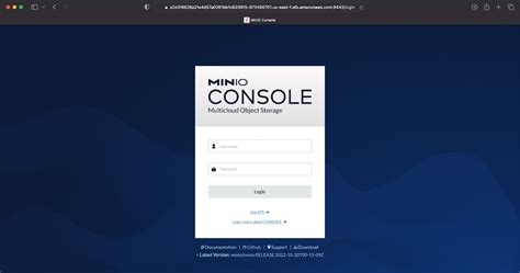 Expose Minio Tenant Services On Eks Using Elastic Load Balancers Instructions