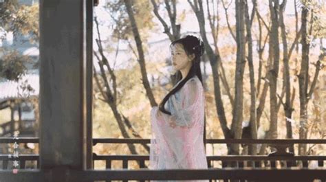 送给仙女的一首诗——闪光屏幕书写（python实现） 知乎