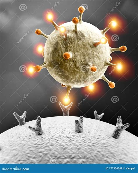 Propagation Of The Virus How Coronavirus Attacks Cells Stock