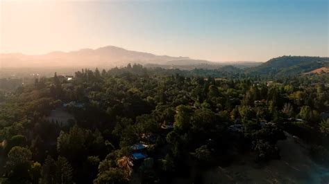 Photo Gallery Byron Park Walnut Creek Ca