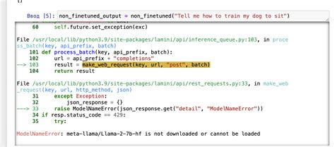 01whyfinetuninglabstudent Api Error 500 Finetuning Large Language