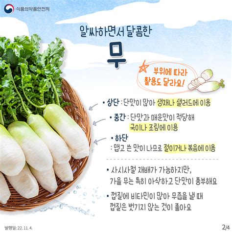 대한민국 식품의약품안전처 아삭 아삭 시원하고 달큰한 ㅁ 길고 둥글둥글한 모양이 특징인데요