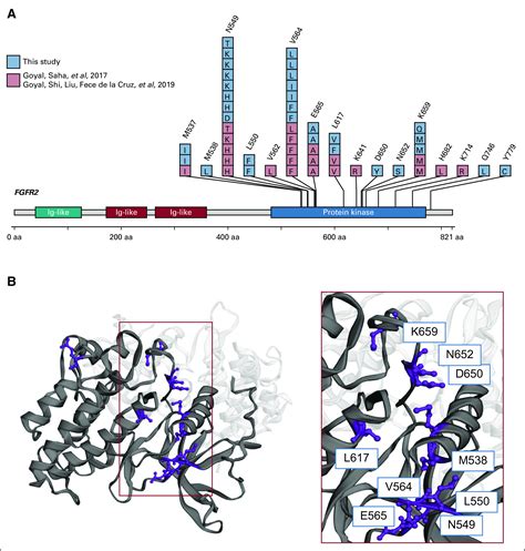 Noninvasive Detection Of Polyclonal Acquired Resistance To Fgfr Inhibition In Patients With