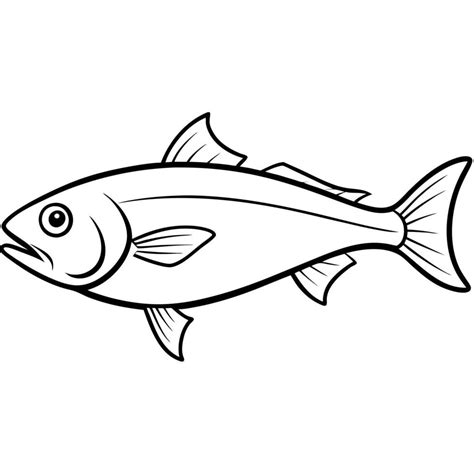 Haddock Illustration Line Art 50994948 Vector Art At Vecteezy