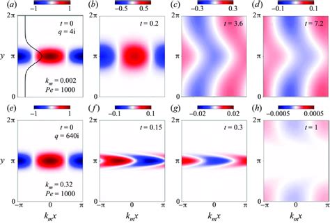 Snapshots Of Modal Solutions For Two Wavenumbers K M And Two Values Of