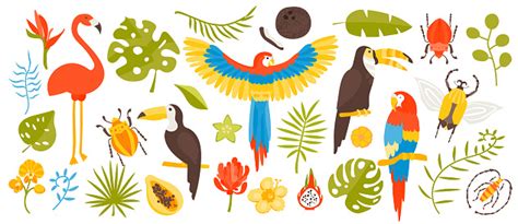 평면 스타일의 손으로 그려진 이국적인 요소의 벡터 메가 열대 세트 야자수 잎 열대 식물 꽃 잎 새 과일 따뜻한 여름 색상과 화려한 평면 그래픽 스티커 웹 사이트 디자인 기사