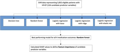 approach to selecting a predictive model and feature importance of