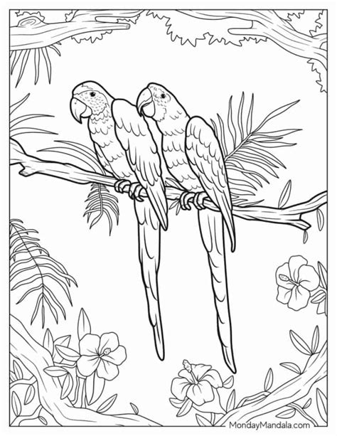 43 Parrot Coloring Pages Free Pdf Printables