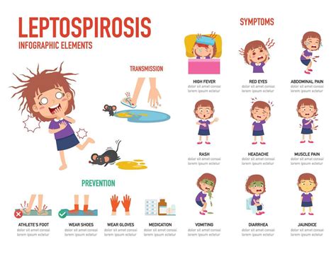 What Is The Prophylaxis For Leptospirosis At Crystal Blackwell Blog