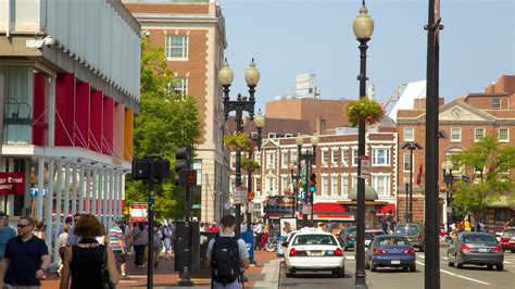 Cambridge Ma Us Holiday Rentals Houses And More Vrbo