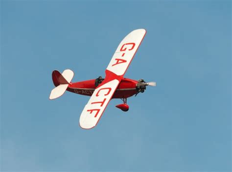 10 Comper Swift Royalty Free Photos And Stock Images Shutterstock