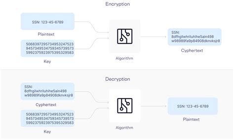 securing sensitive data why encryption isn t enough skyflow