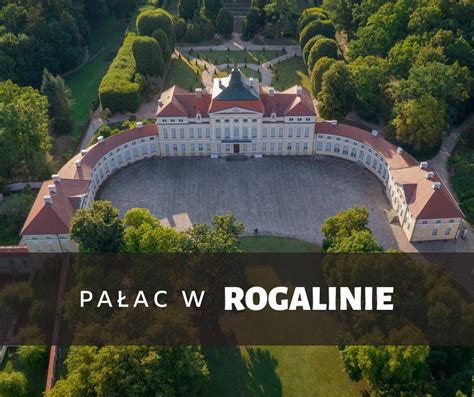 Rogalin Zwiedzanie Pałacu Dęby Rogalińskie Mapa Atrakcji